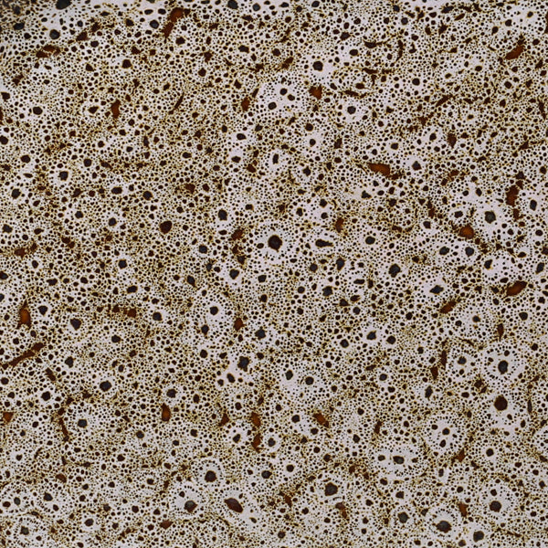 White Ochre - Robert Gordon Australia