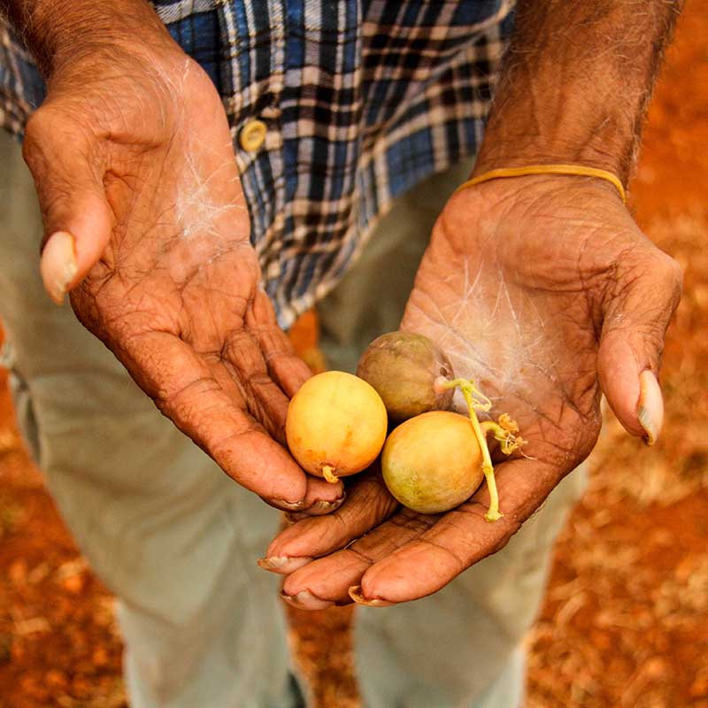 Juluwarlu X Robert Gordon - Robert Gordon Australia